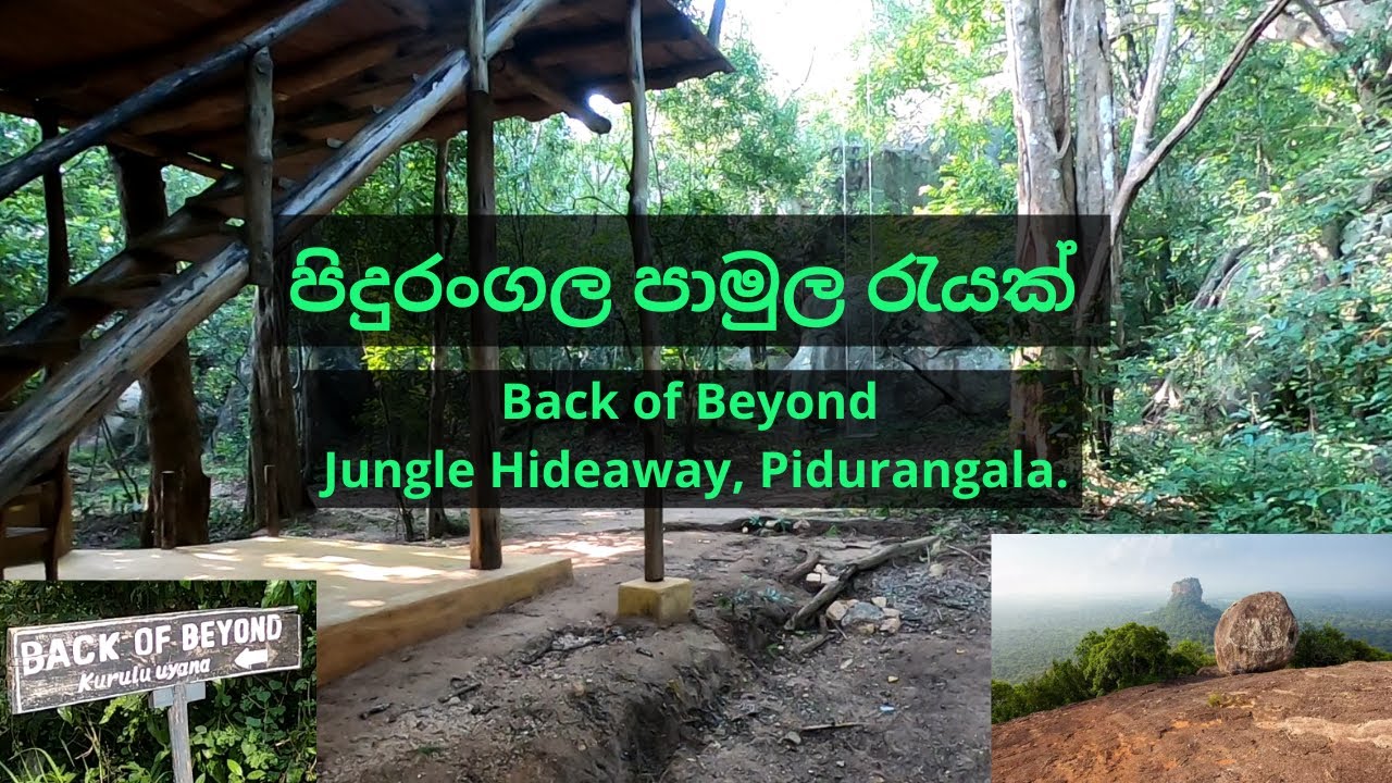 Night At Back of Beyond - Jungle Hideaway, Pidurangala, Sri Lanka 🇱🇰 ...