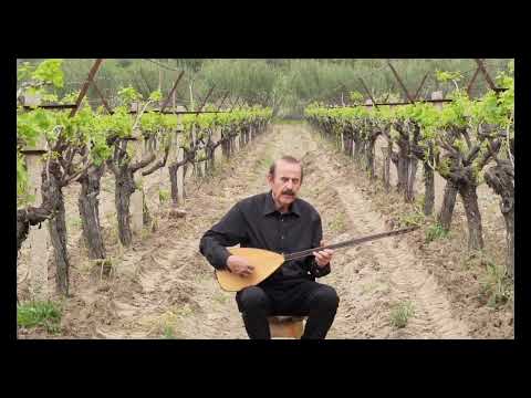 Körleme Ey insanoğlu/ Bahattin Turan/ Deste Deste türküler ##müzik #halkmüziği #s0lfej #saz 