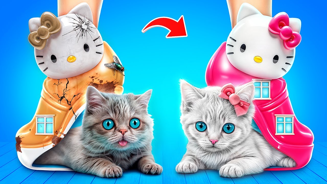 Kami Membangun Rumah untuk Kucing! Hello Kitty Menyelamatkan Anak ...