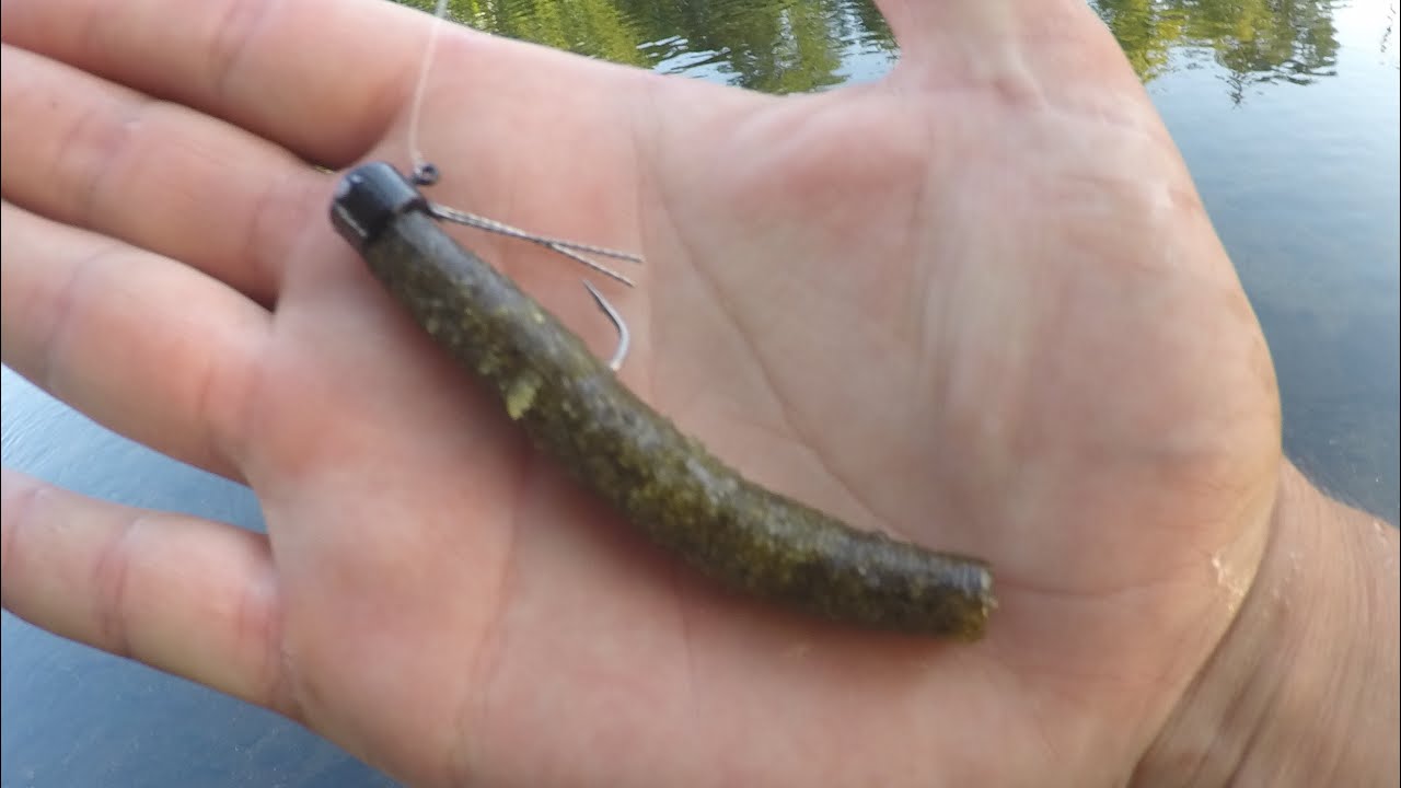 Smallmouth Bass fishing, Ned Rigging the TRD (Part 1) - YouTube