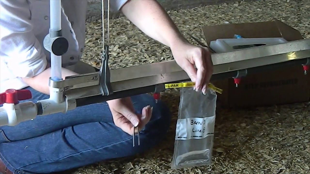 How to Collect a Drip and Swab Sample - YouTube