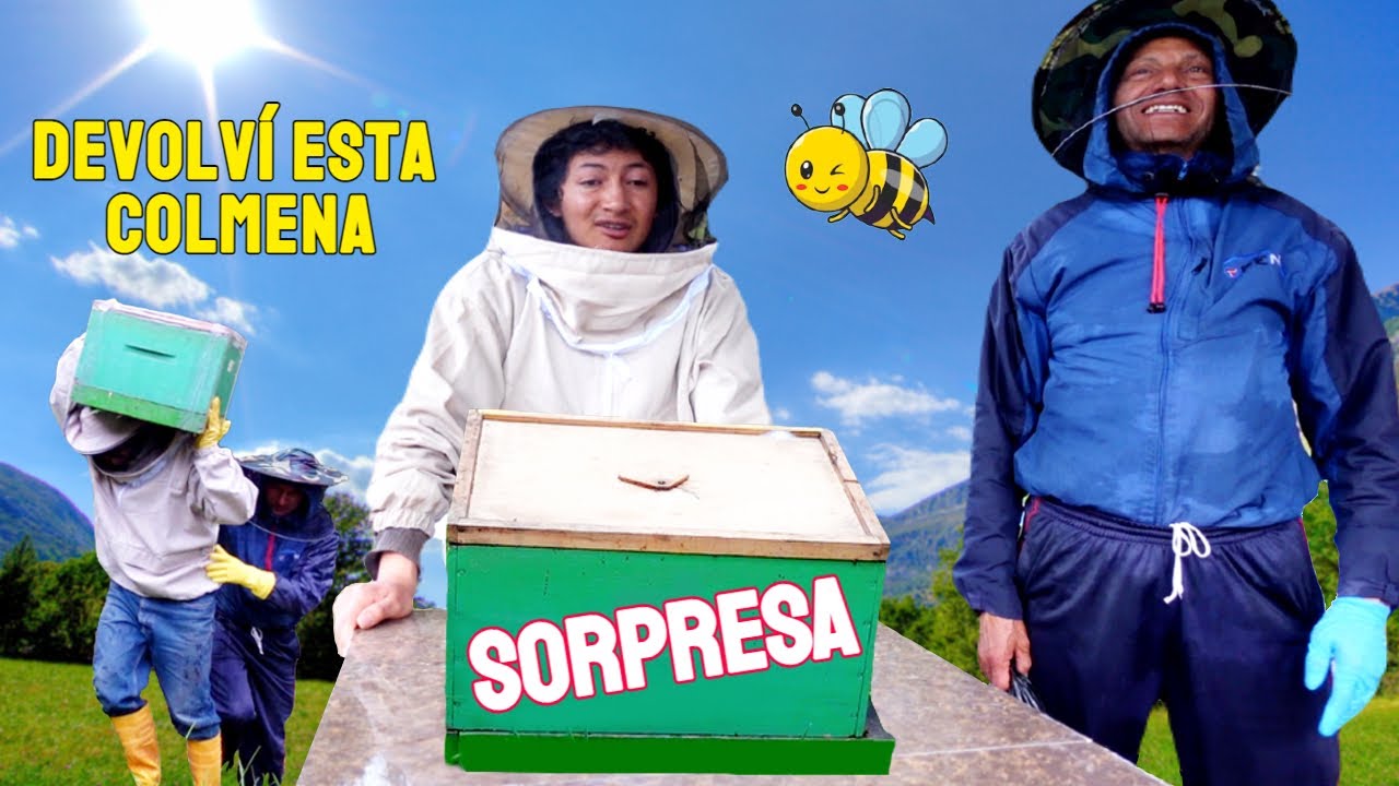 Llegaron BRAVAS y se van MANSITAS (Ayudando Apicultores) - YouTube