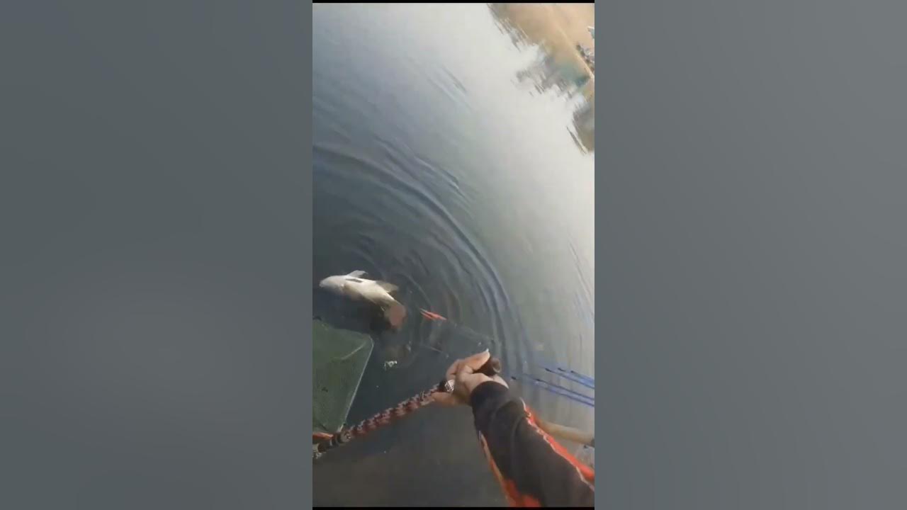 mancing Saguling terbaru mancing hiburan - YouTube