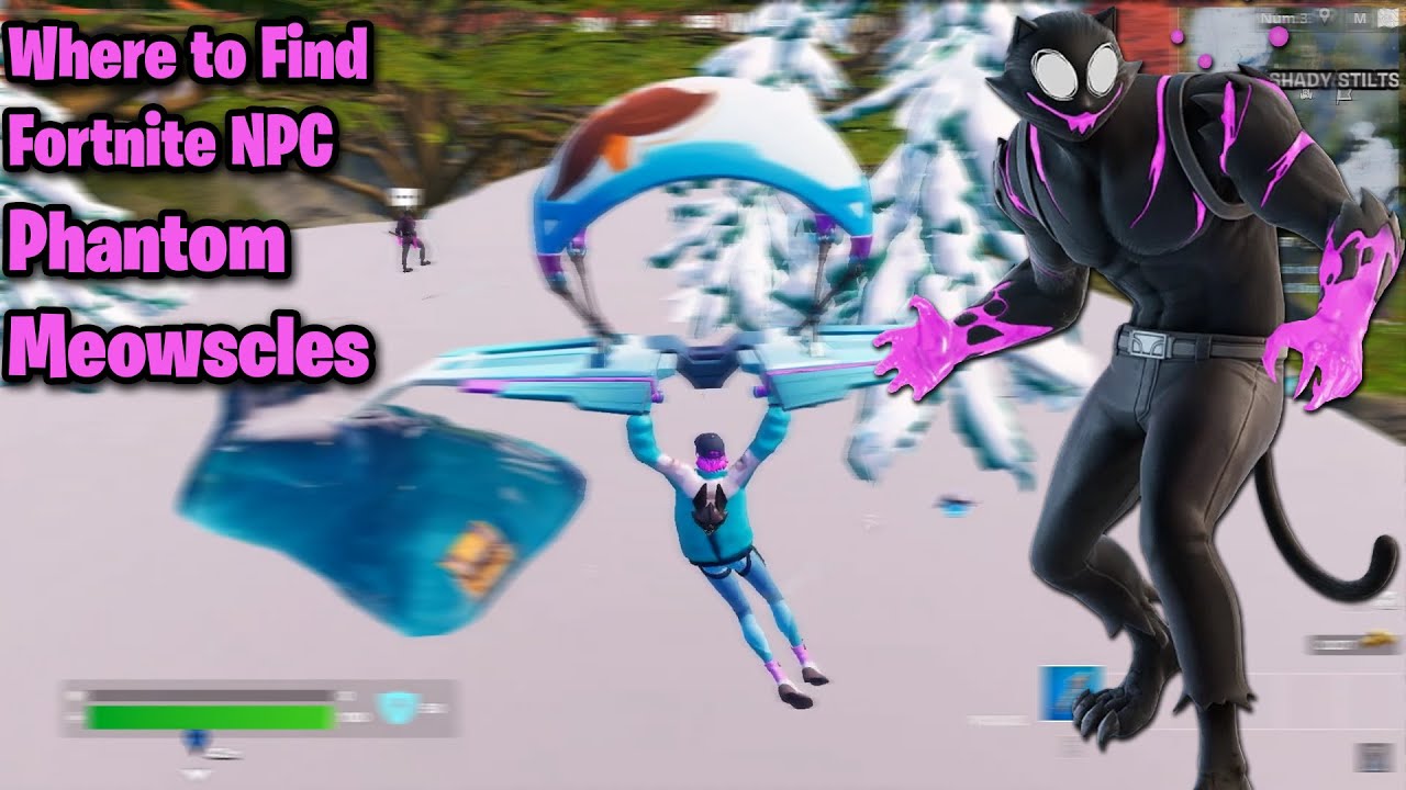 Where to Find Fortnite NPC Phantom Meowscles Fortnite Chapter 4 Season ...