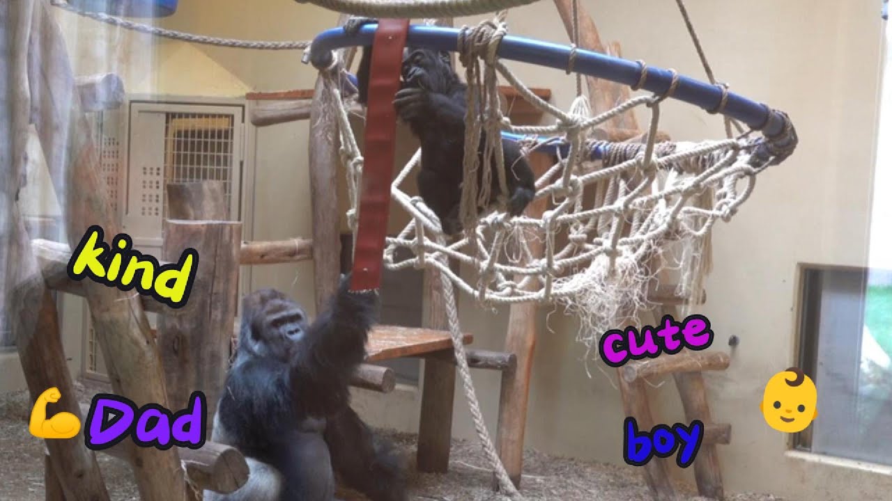 Dad Kidogo is more care about his son's safety 🥰 | The Kidogo’s Family ...