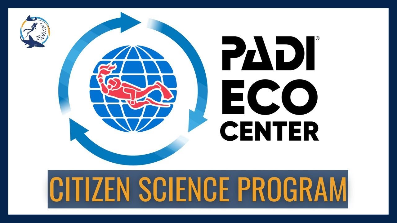 Citizen Science - Marine Conservation Program - YouTube