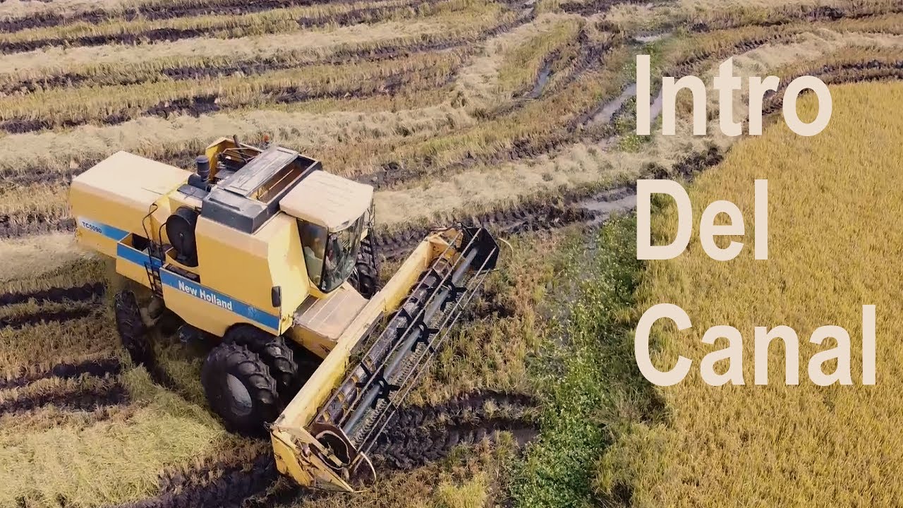 Introduccion al canal - YouTube