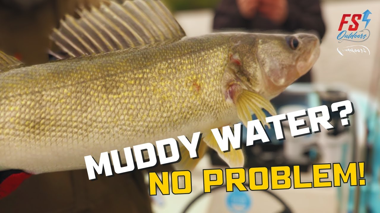 BIG River Walleye & Smallmouth Bass - Muddy Water Fishing - YouTube