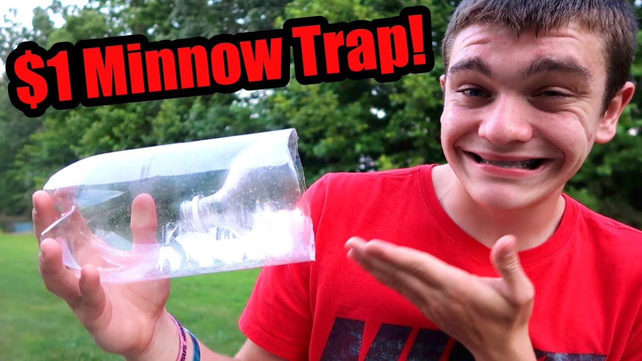 $1 HOMEMADE MINNOW TRAP (Cheap & Easy) - Does it work? - YouTube