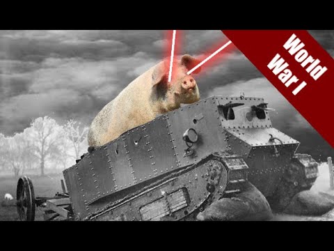 LazerPig talks Tank: The First Tank (also the second) - YouTube
