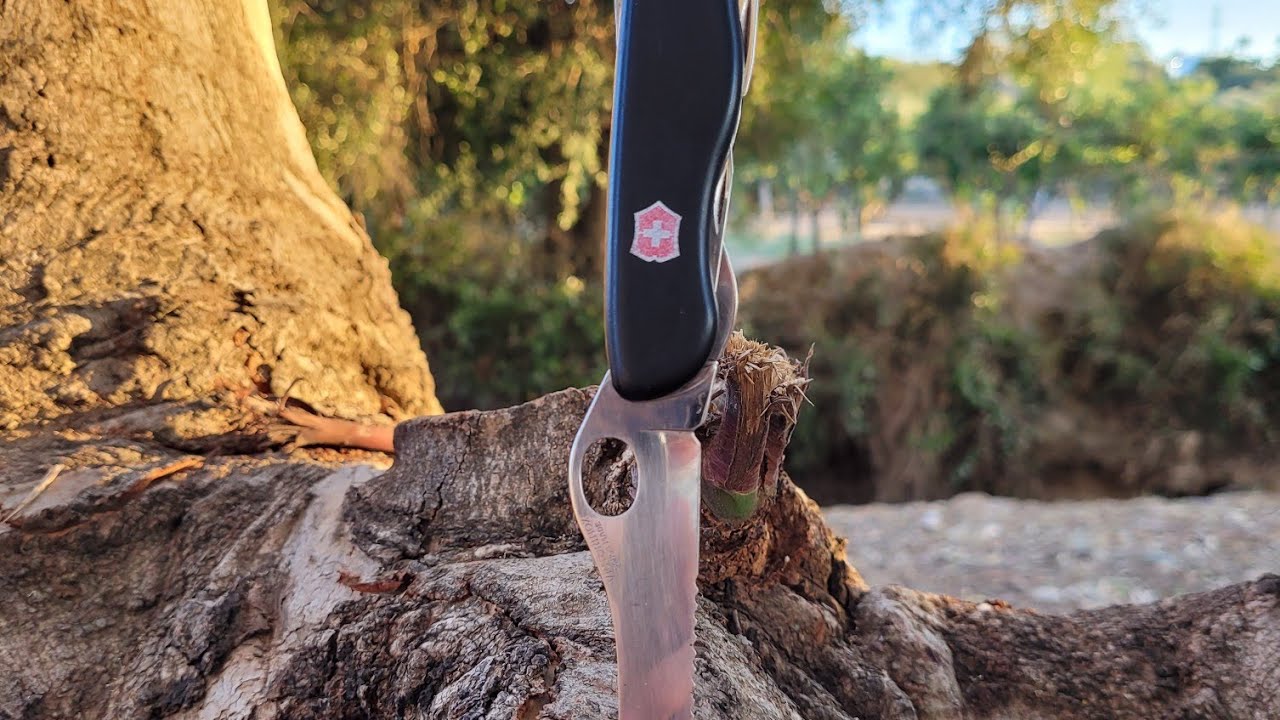 VICTORINOX TRAIL MASTER, CLÁSICOS DE LA CUCHILLERIA(parte 2)#victorinox ...