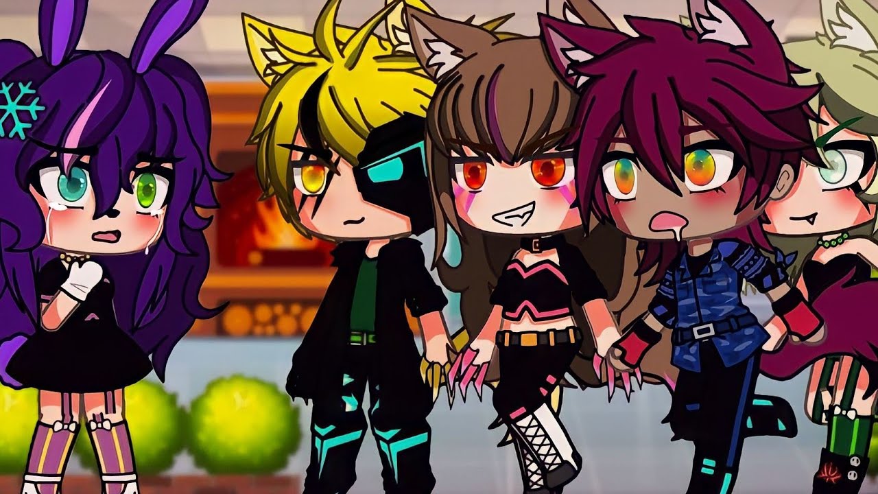 Wolf,Cat,Bear,Bunny! meme / gacha meme gacha//#gachalife // #gachamemes ...