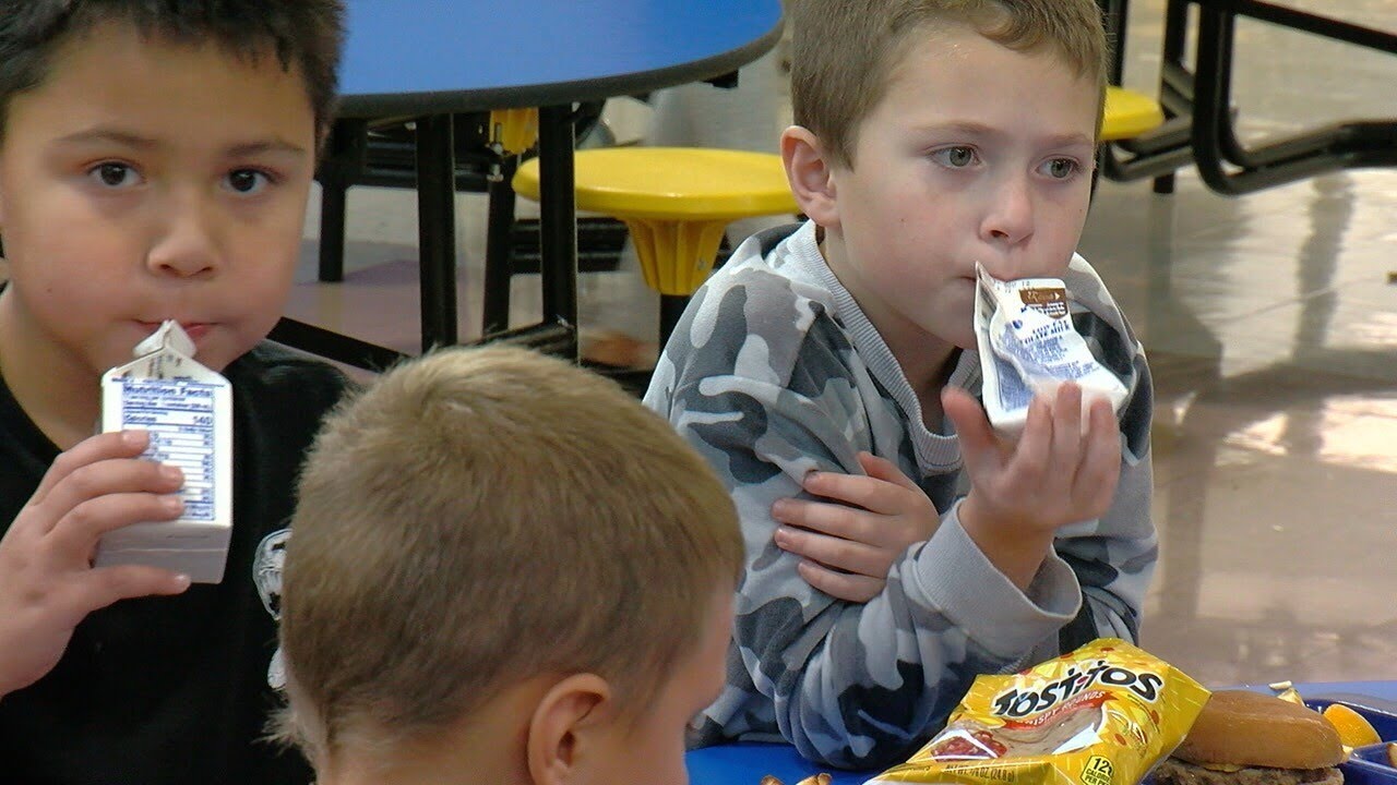 ‘We are going to have staff pour milk for students’: Milk carton supply ...