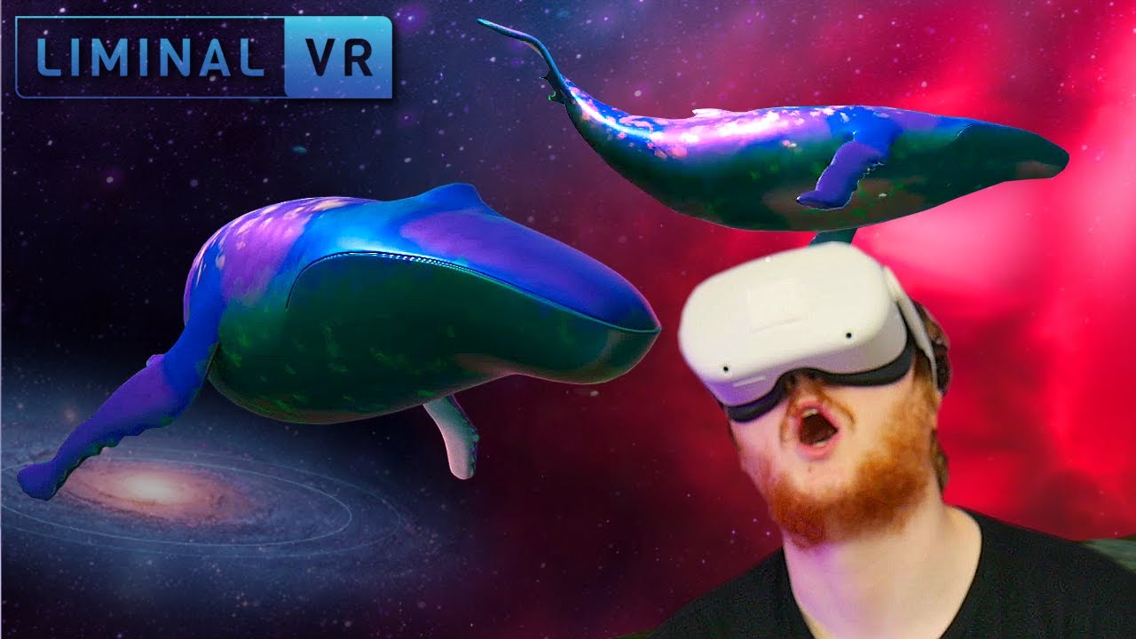 GIANT SPACE WHALE! 🐋 | Liminal VR | Oculus Quest 2 | SideQuest - YouTube