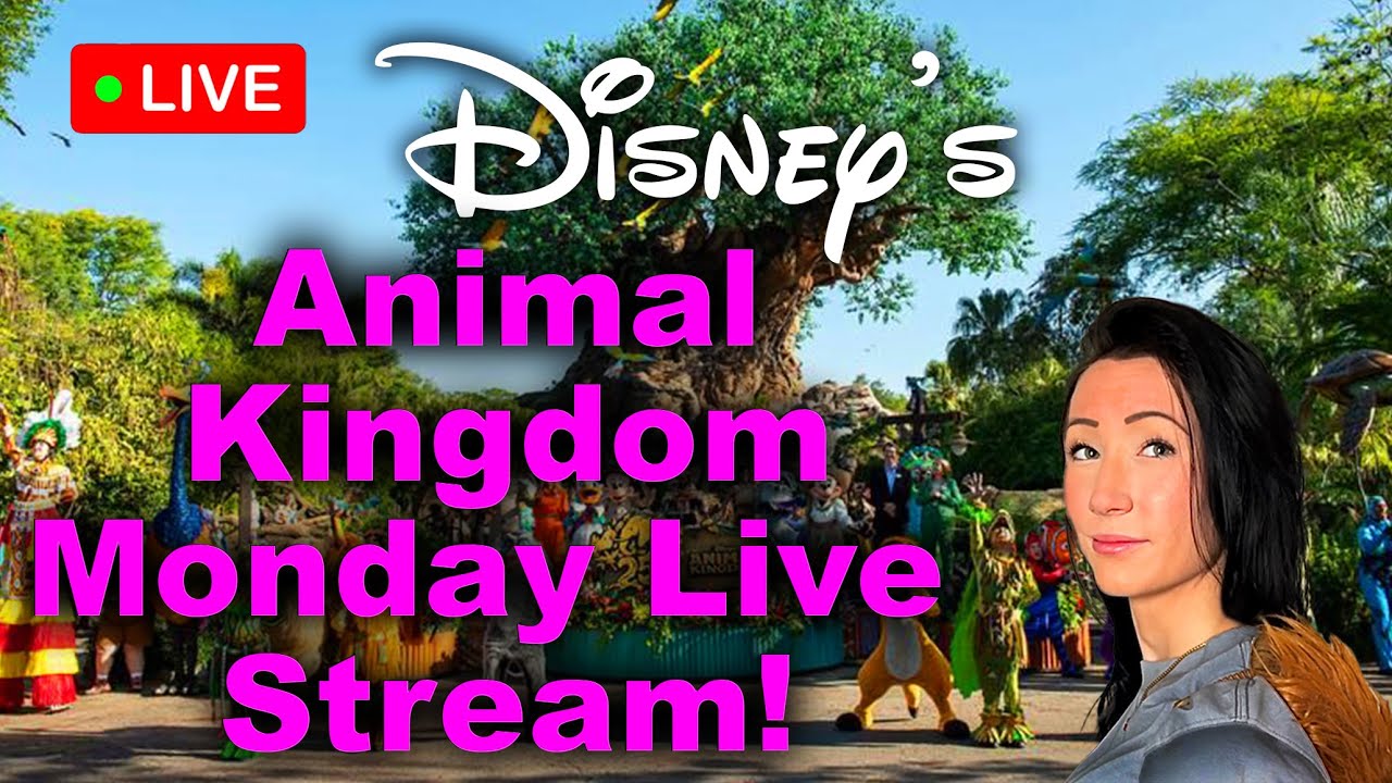 🔴 LIVE: Animal Kingdom Disney Live Stream! Witness The Magic with us! 8 ...