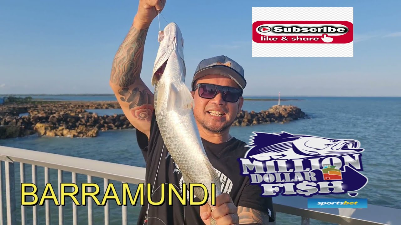 NIGHTCLIFF JETTY FISHING CATCH BARRAMUNDI - YouTube