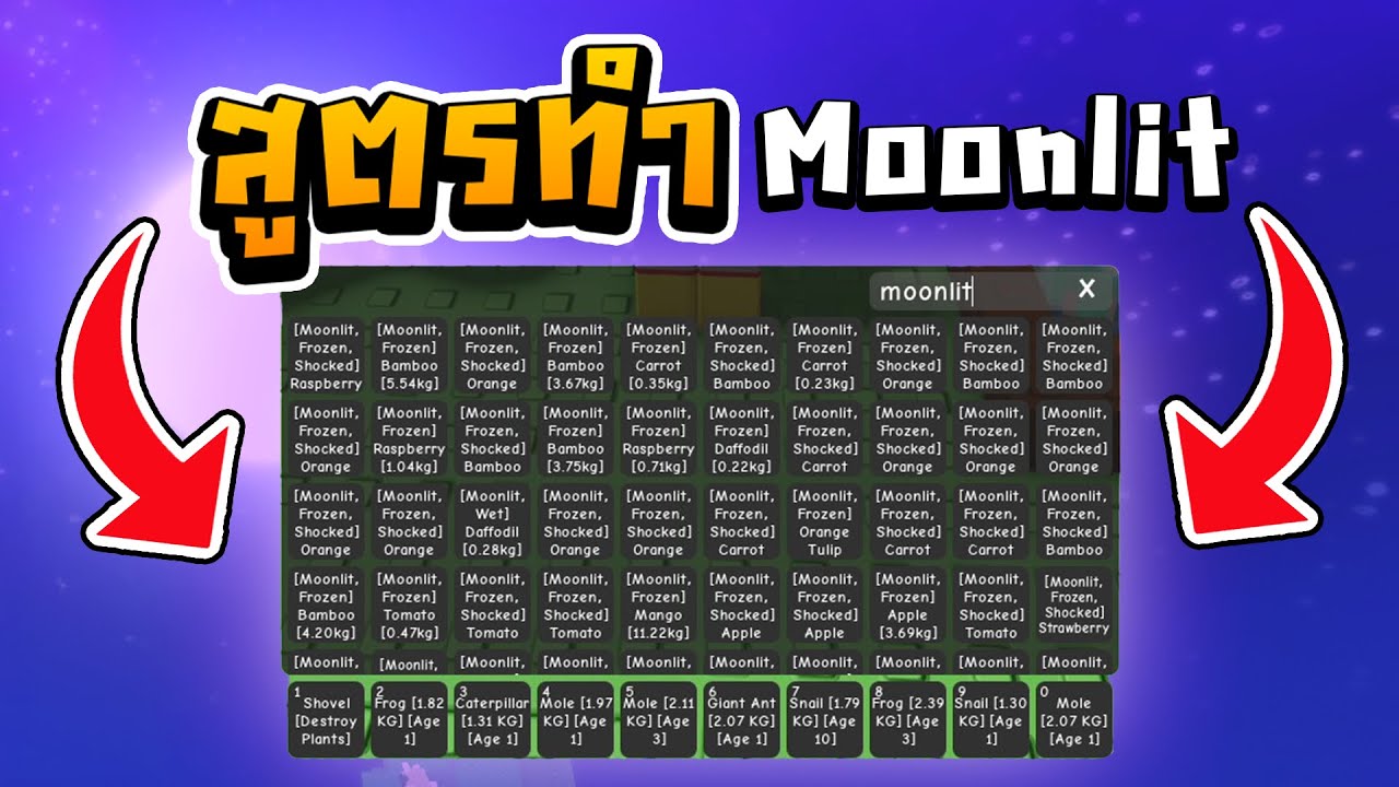 สูตรปั้ม! สถานะ Moonlit ติดง่าย ได้เยอะมาก ใน Grow a Garden - YouTube