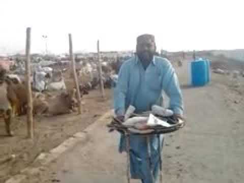 Sindhi singing talant