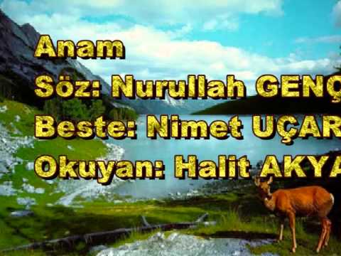 Halit AKYAZI - Anam