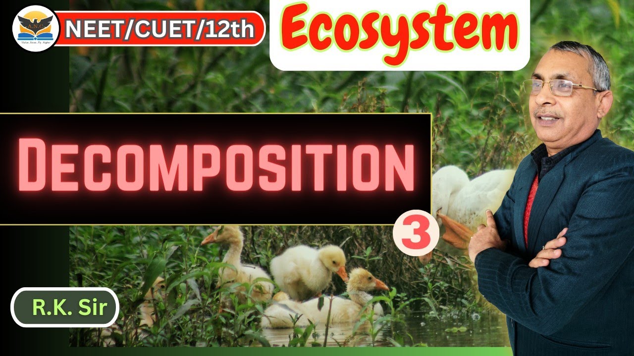 Decomposition | Ecosystem | NEET/CUET/12th | RK Sir - YouTube