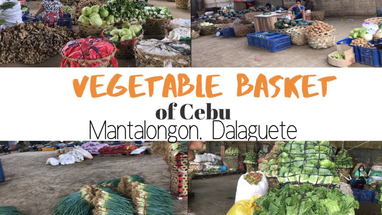 VEGETABLE BASKET OF CEBU | Buying Kimchi Recipe | Online Selling ...