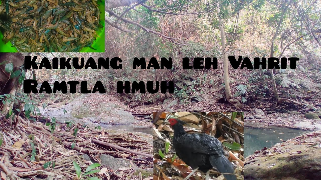 Kangvar hunlai, luite kal😘😘😘 Vahrit nupa kan hmu😍😍😍Road to 1k sub - YouTube