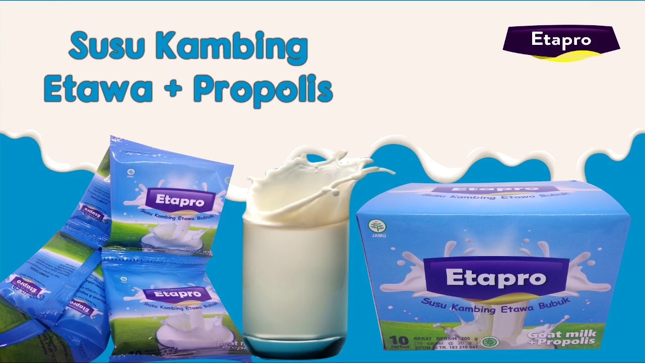 Susu Kambing Etawa plus Propolis ETAPRO - YouTube