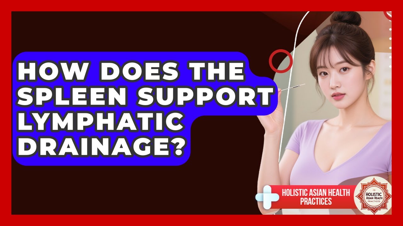 How Does The Spleen Support Lymphatic Drainage? - Holistic Asian Health ...