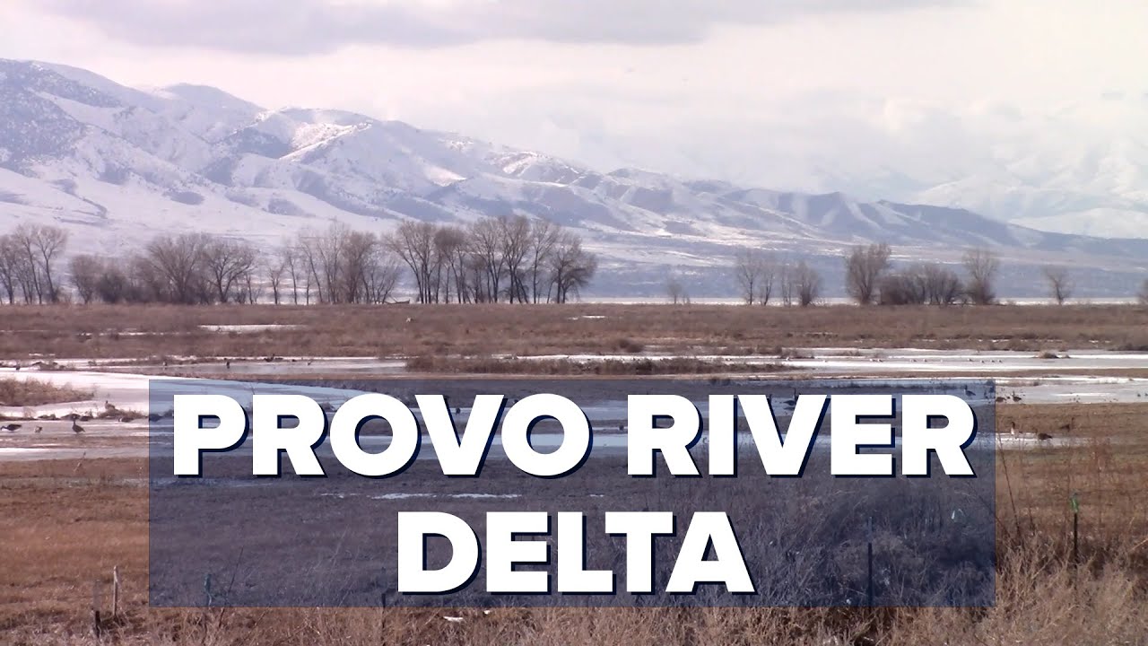 Provo River Delta with Reece Stein - YouTube
