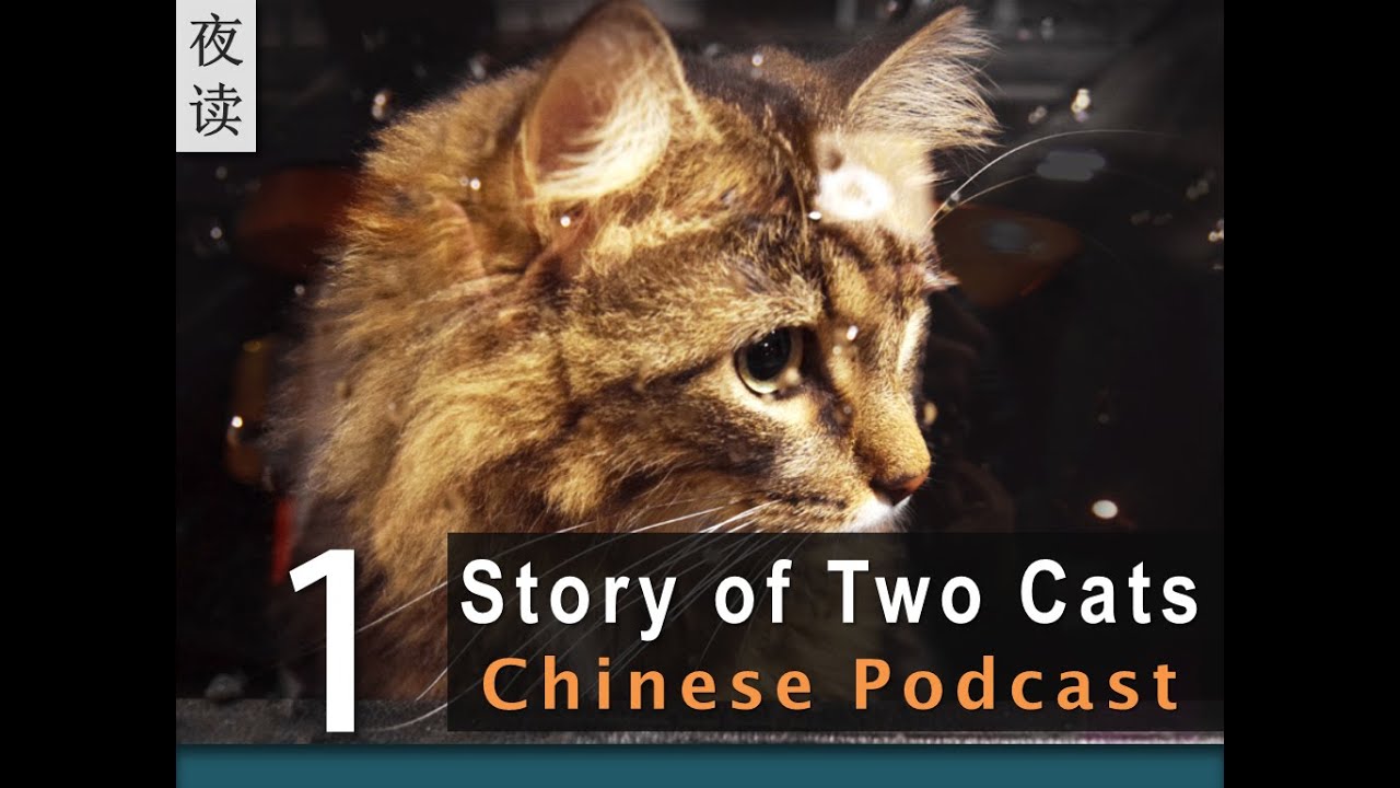 “The Life Story of Two Cats” The Night Reader Episode 1, Chinese ...