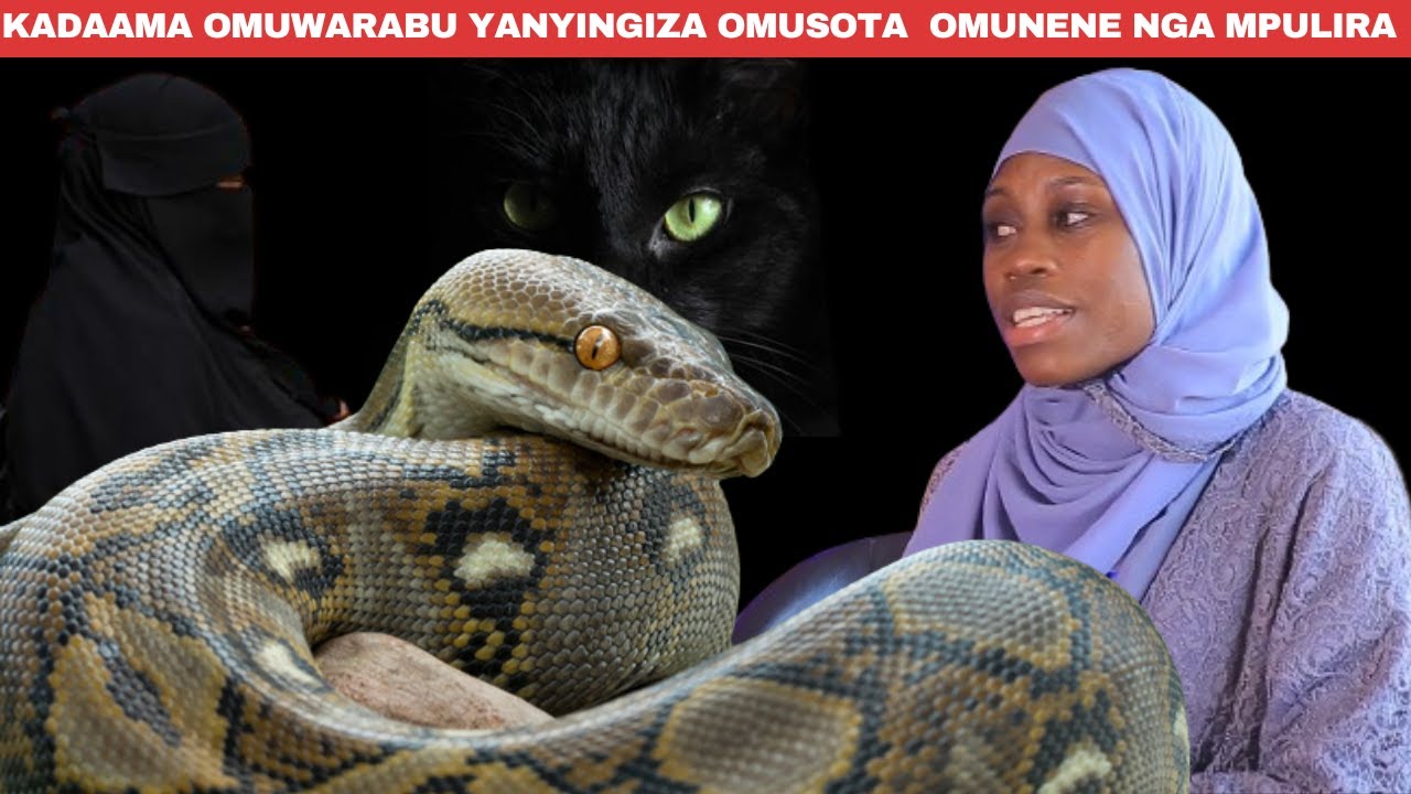 KADAAMA OMUWARABU YAMUYINGIZA OMUSOTA OMUSOTA OMUNENE NAGUWULIRA NGA ...