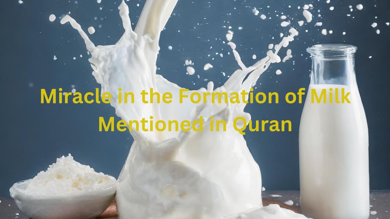 Miracles in Every Drop: Unveiling the Quran's Secrets of Milk Formation ...
