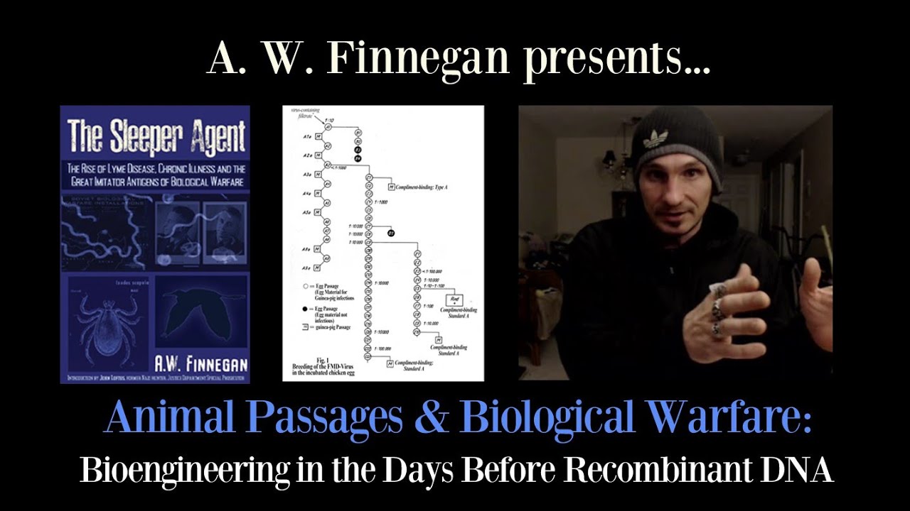 Bioengineering Before the Days of Recombinant DNA : Animal Passages in ...