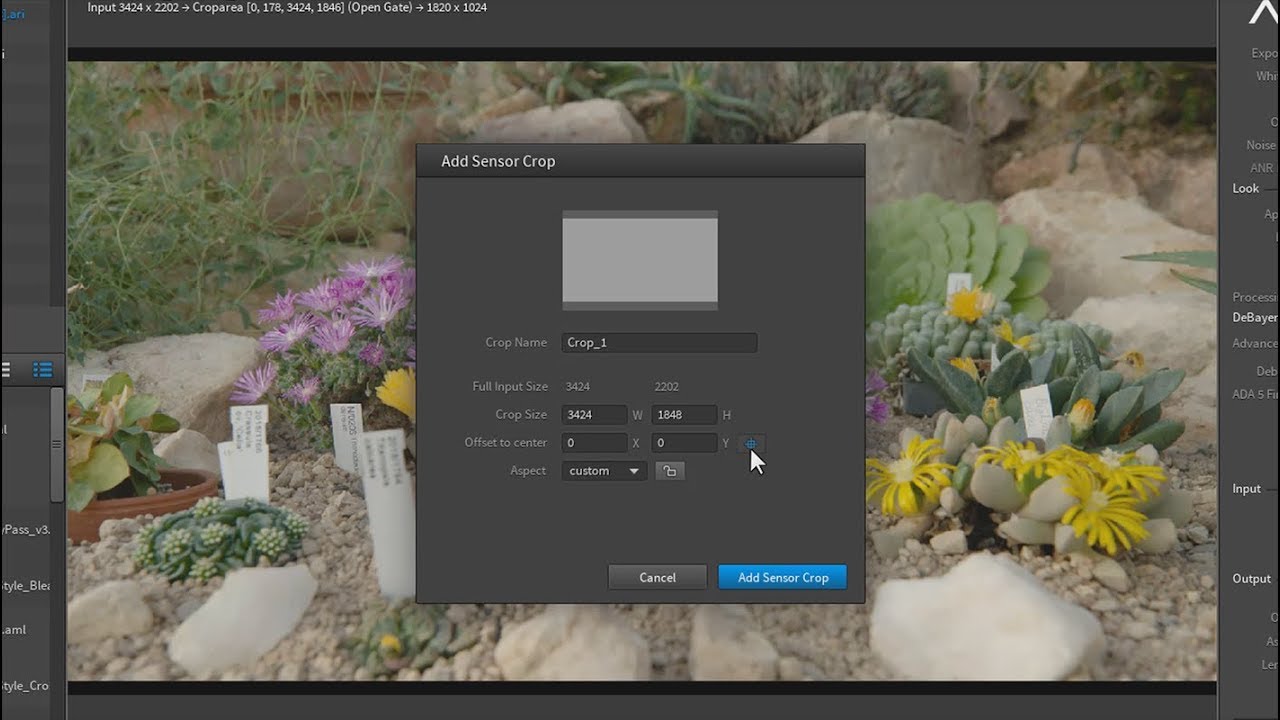 ARRI Tech Tip: ARRIRAW Converter - How to modify an embedded frame line ...