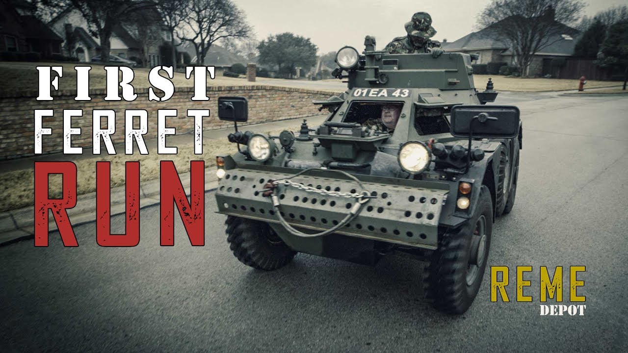 First Ferret Run - YouTube