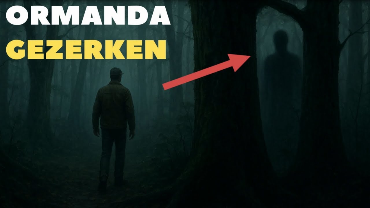 Ormanda Gezerken Yaşadıgım Paranormal Olaylar Gerçek Hayatta Yaşanmış ...