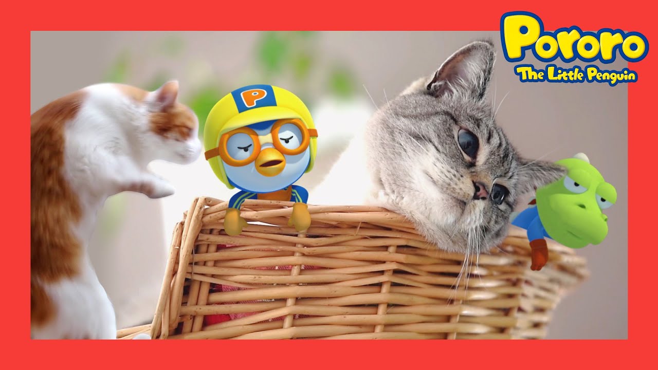 Real Life Pororo | #3 Playful Cats | Pororo and Animal Friends | Pororo ...