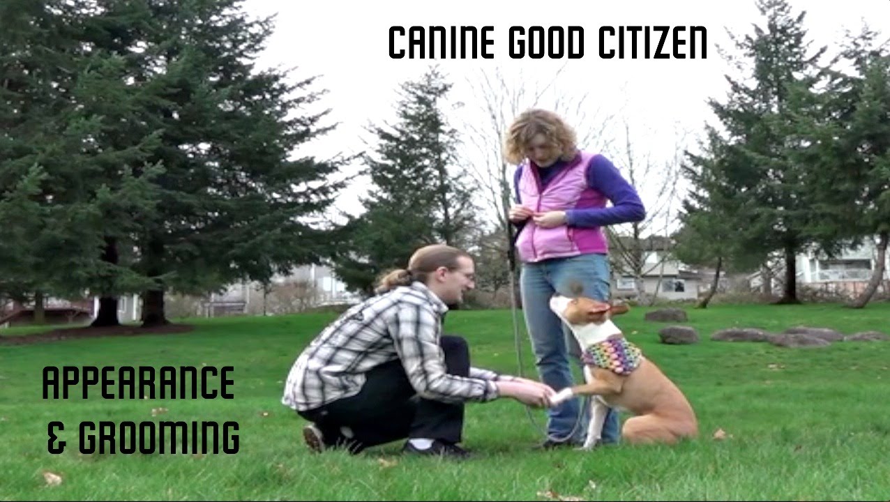 CGC Part 3 Appearance & Grooming - YouTube