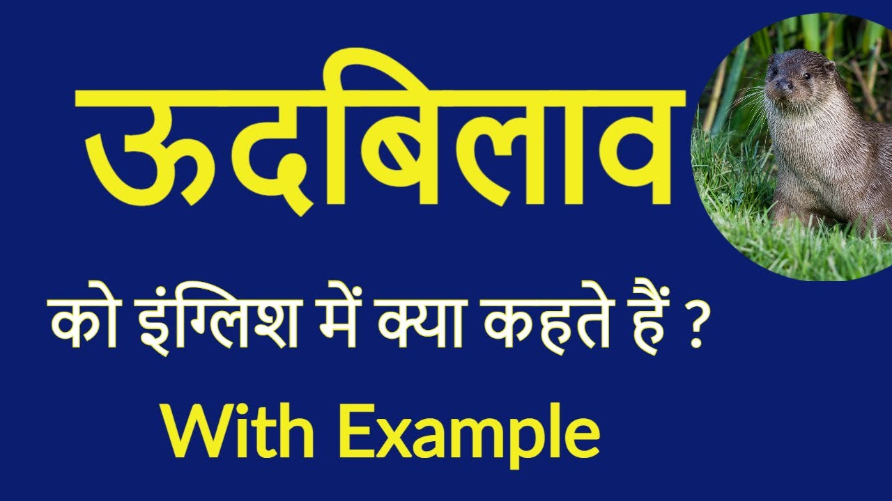 ऊदबिलाव को इंग्लिश में क्या कहते हैं | udbilao ko english mein kya ...