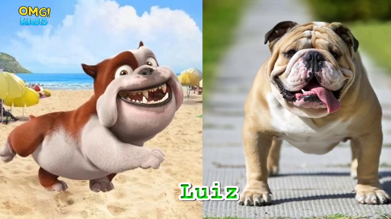 Rio in Real Life All Characters 2018 Rio 1 & 2 OMG Kids - YouTube