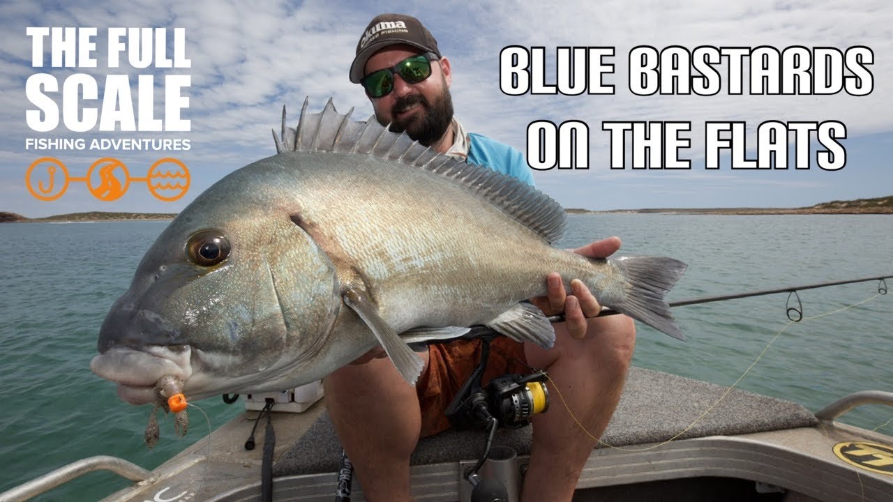 Blue Bastards on the Flats | The Full Scale - YouTube