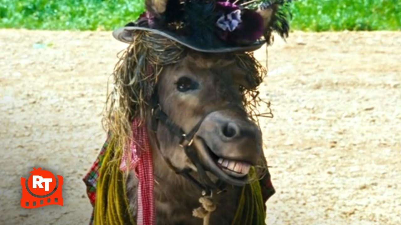 Nanny McPhee (2005) - The Dancing Donkey Scene | Movieclips - YouTube