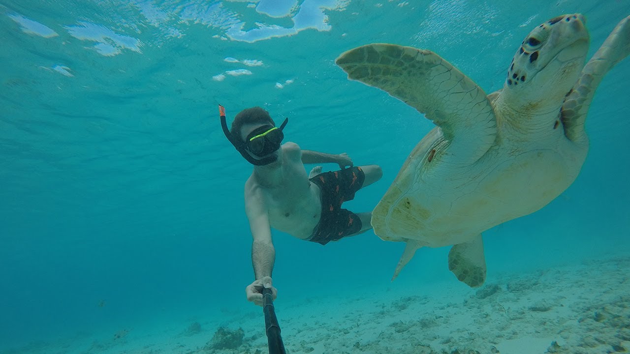 GoPro | 2017 | Curaçao - YouTube