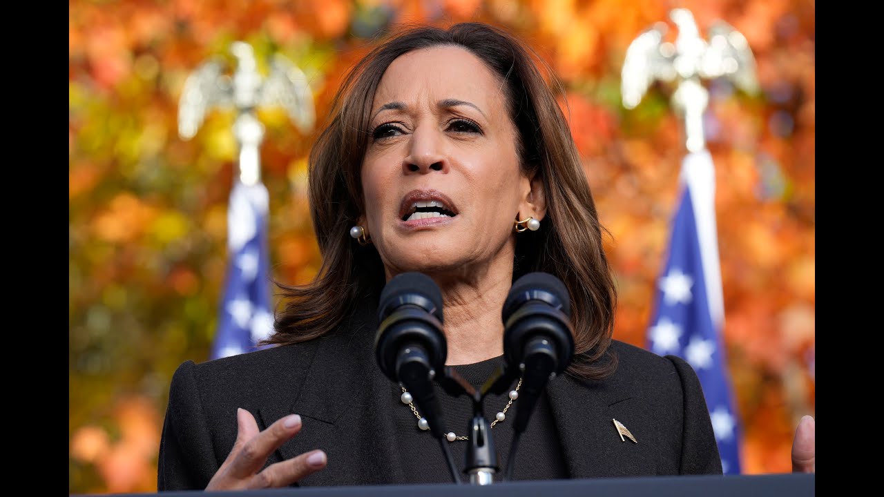 WATCH: Vice President Kamala Harris holds campaign rally in Houston ...