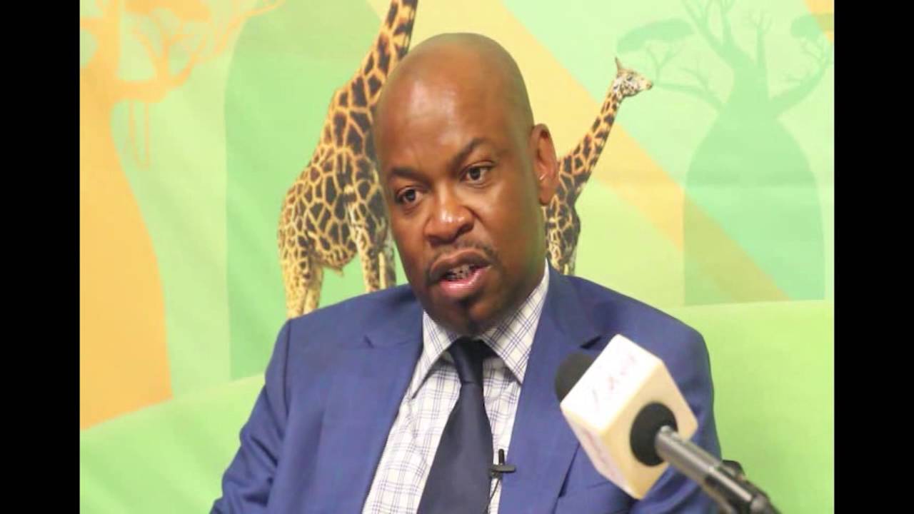 George Sebulela briefly explains what the Black Business Council is ...