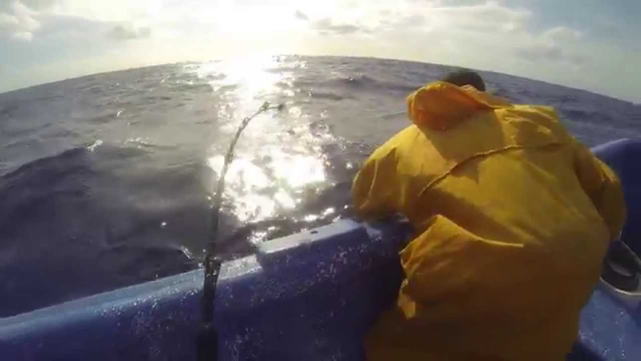 Off Shore Marlin Fishing in Bayahibe, Dominican Republic. - YouTube