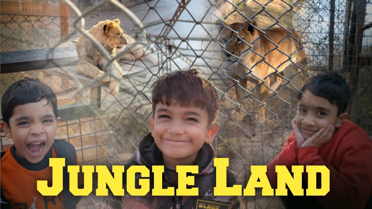 Learning Zoo Animals for kids 😱| Adventure animals 😨 |Kids adventure ...