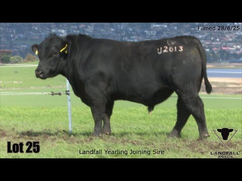 Lot 025 Landfall 38 Special TFA23U2613 - YouTube