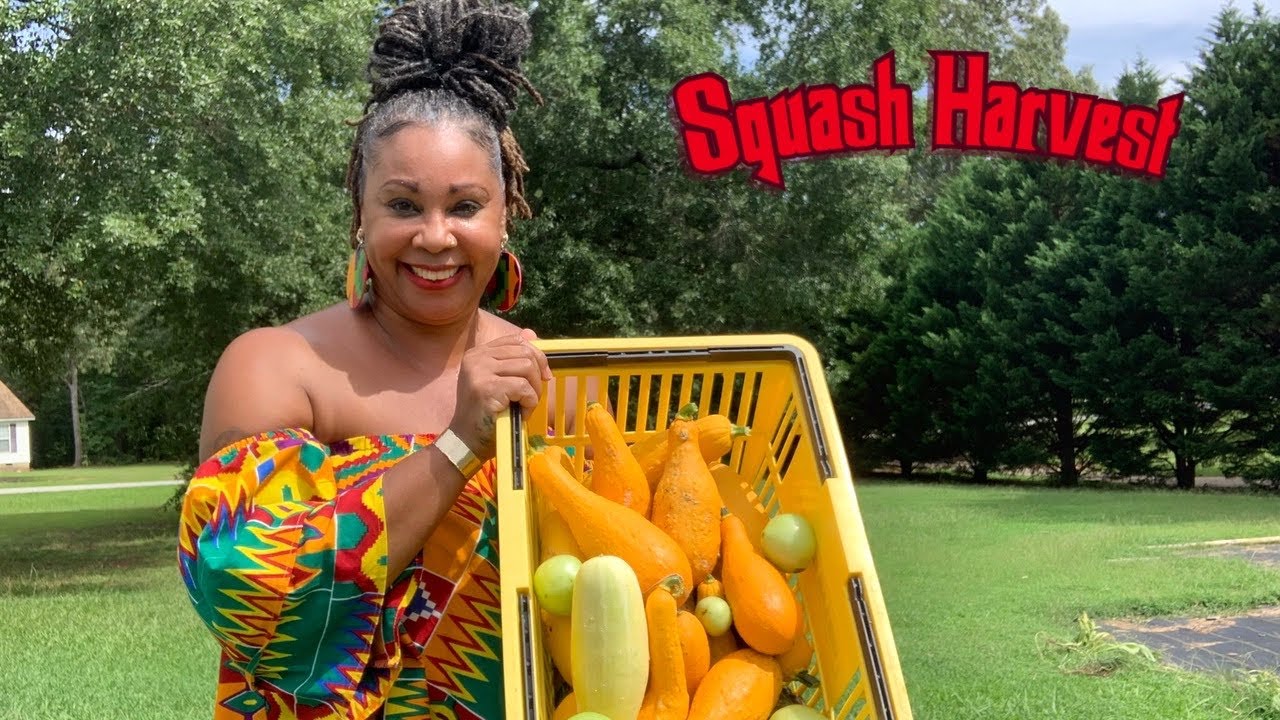 My RiverFront Brawl Squash Harvest!PT2 - YouTube