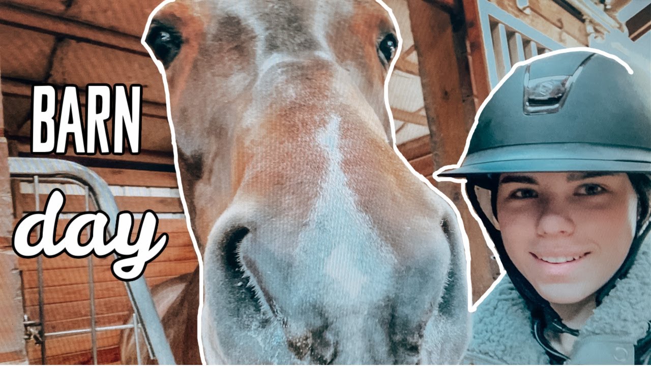 quick trip to the barn!! | vlogmas day 21 | Eleese S - YouTube
